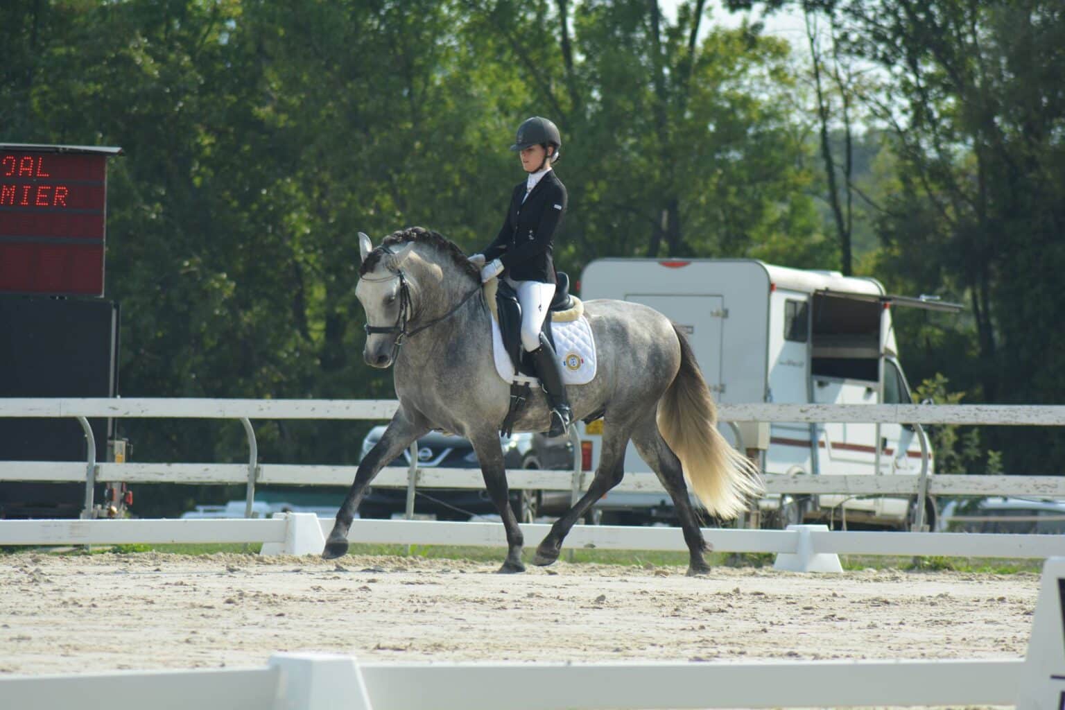 Accueil - Centre Hippique des Alpes