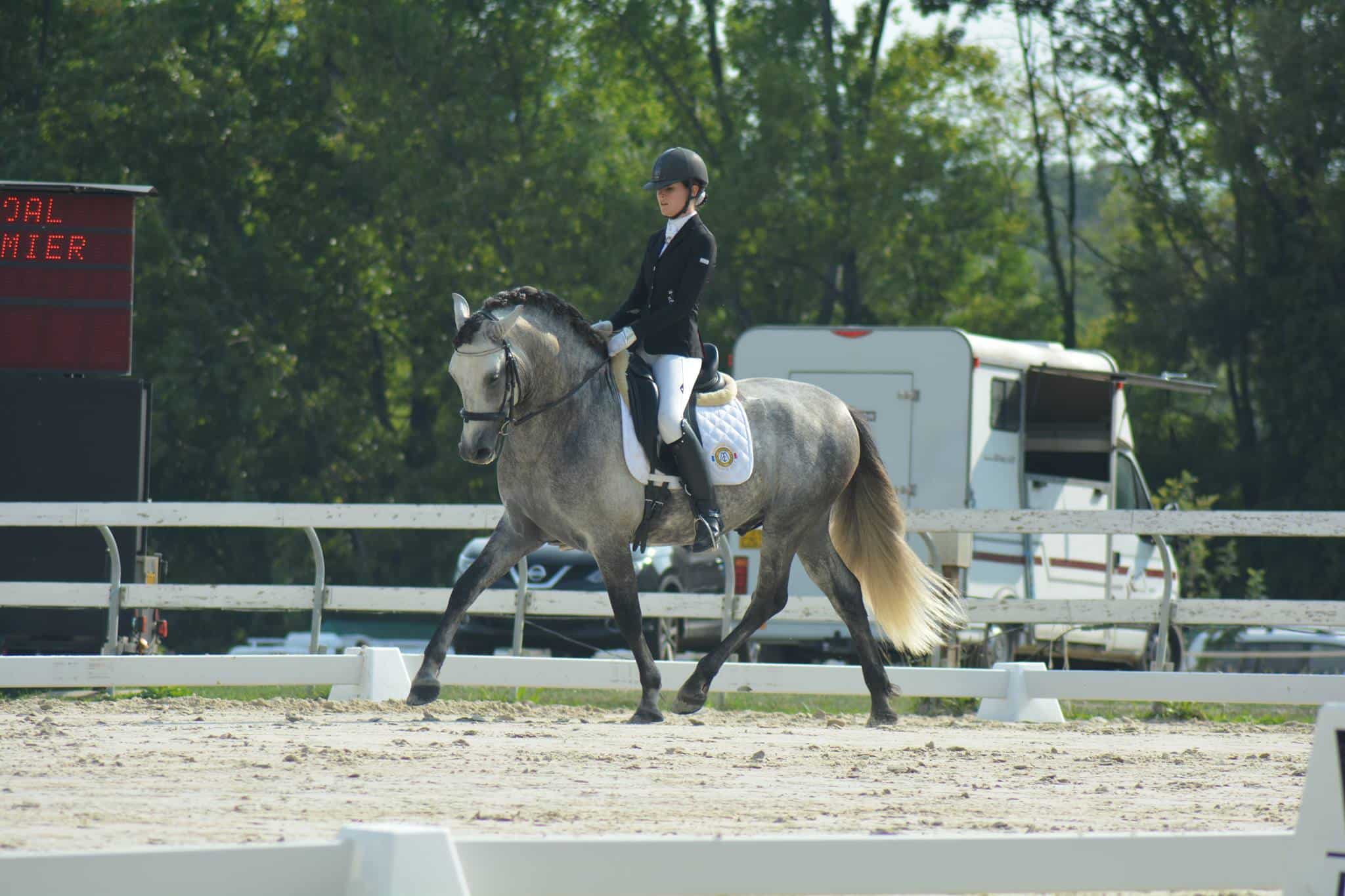 Accueil - Centre Hippique des Alpes