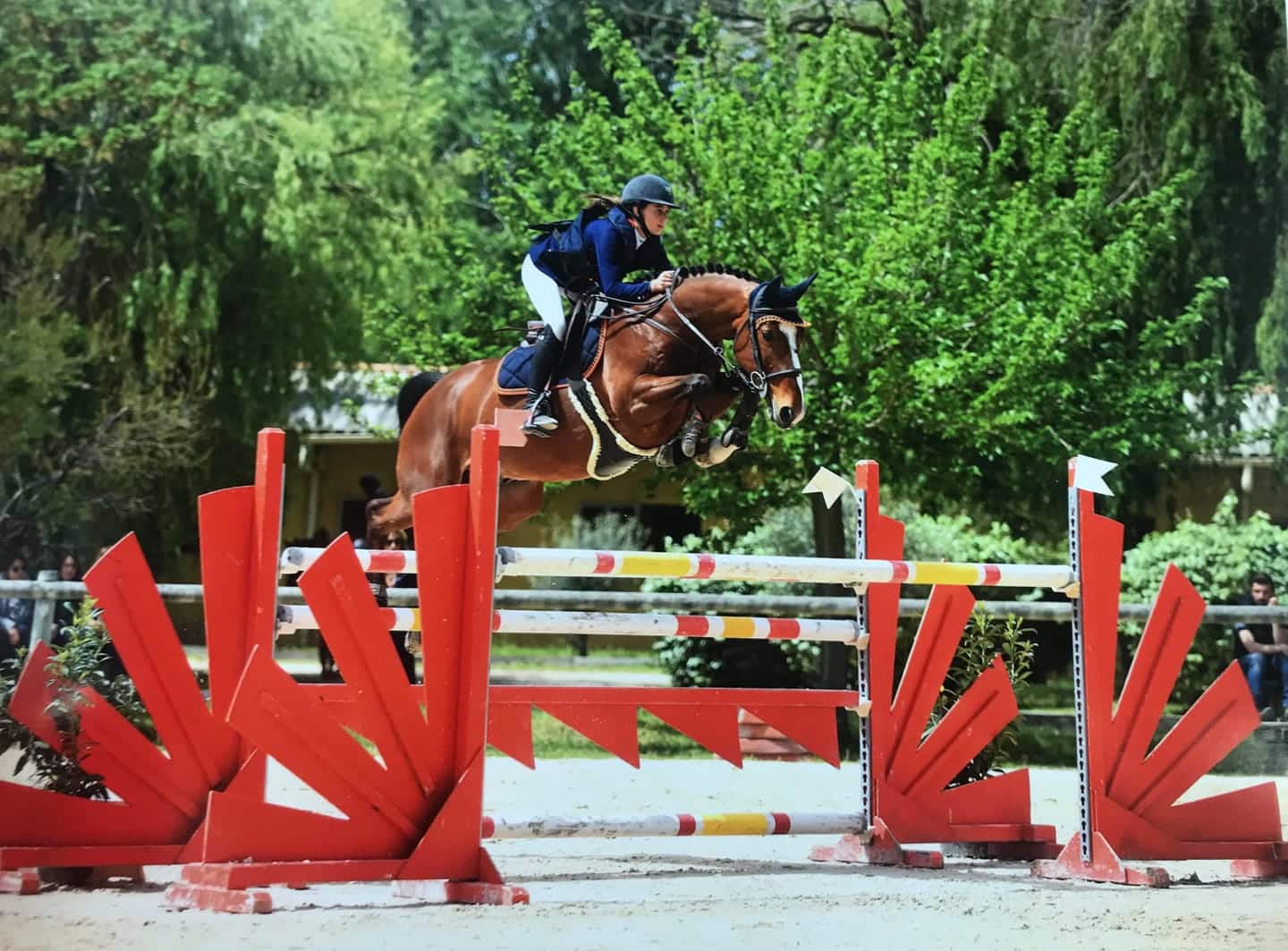 Présentation - Centre Hippique des Alpes